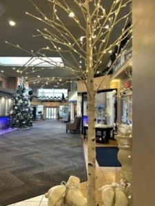 Creating an Unforgettable Holiday Event at Burlington Convention Centre